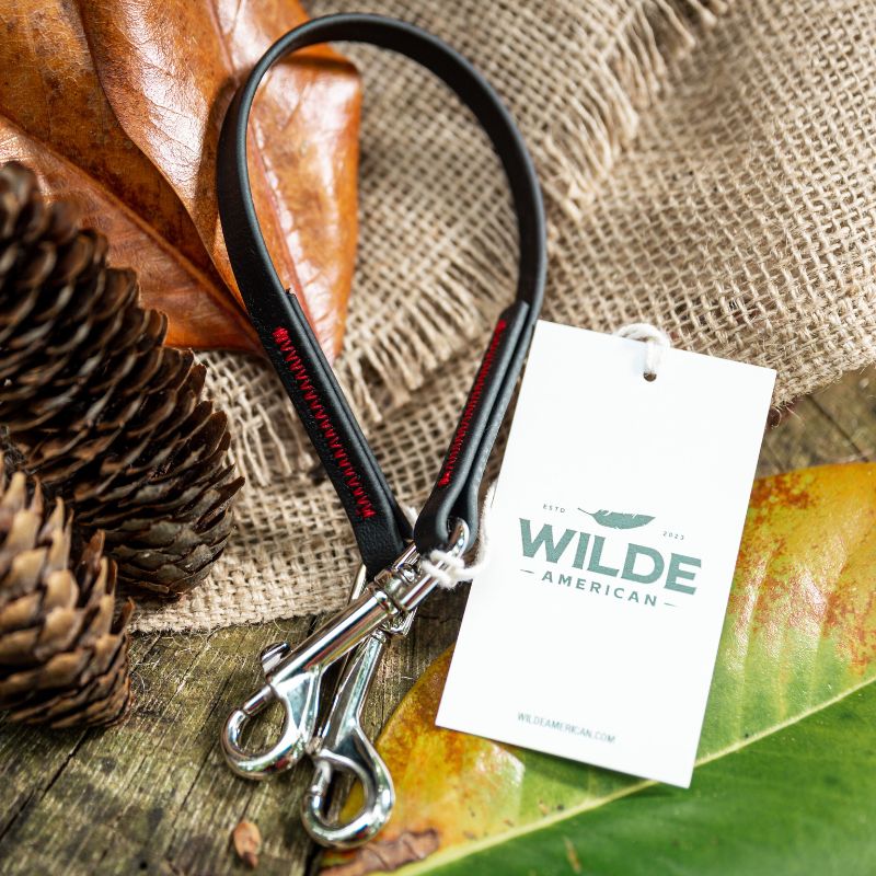 The Switchback Safety Line Dog Leash | Wilde American